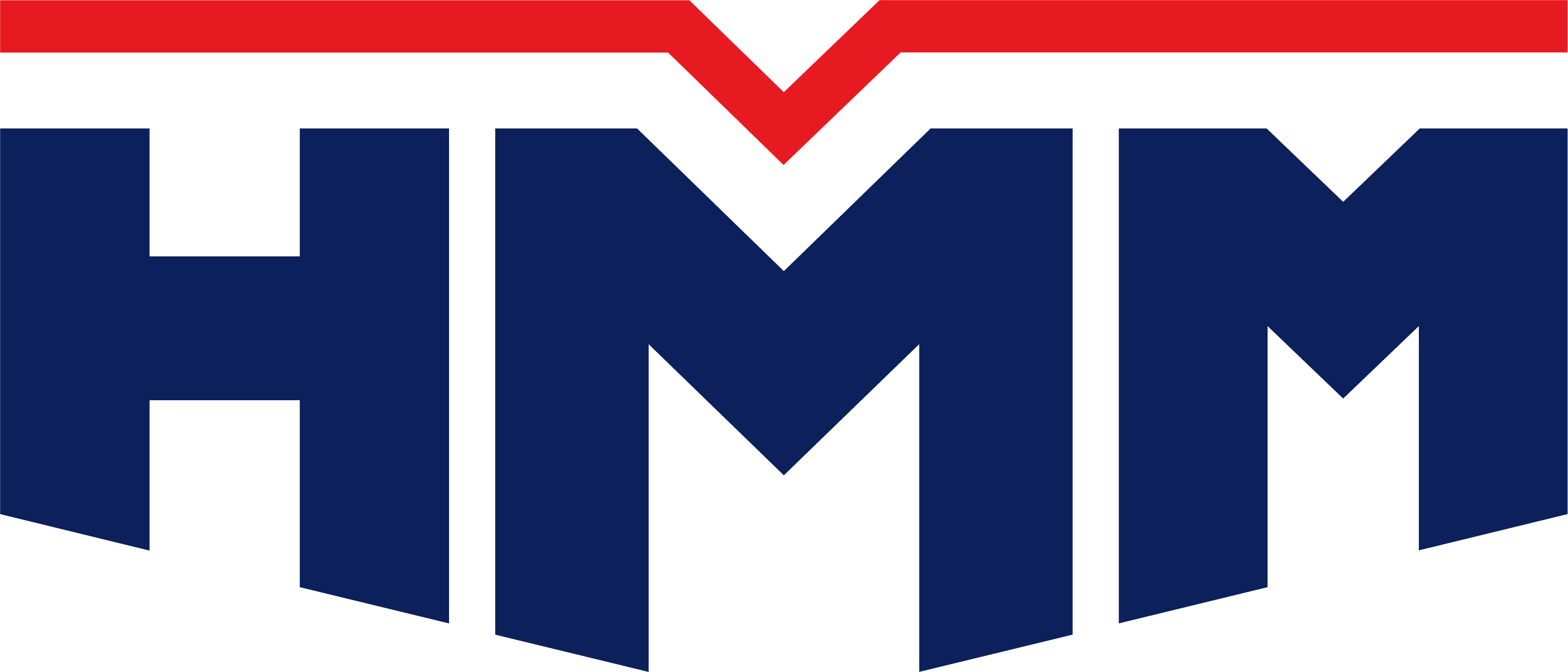 Top shipping companies by capacity